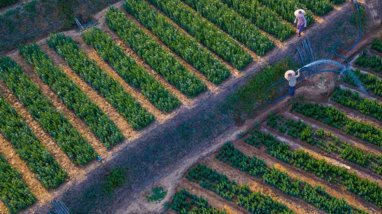 YANMAR launches new range of Portable Diesel Water Pumps - Yanmar ...