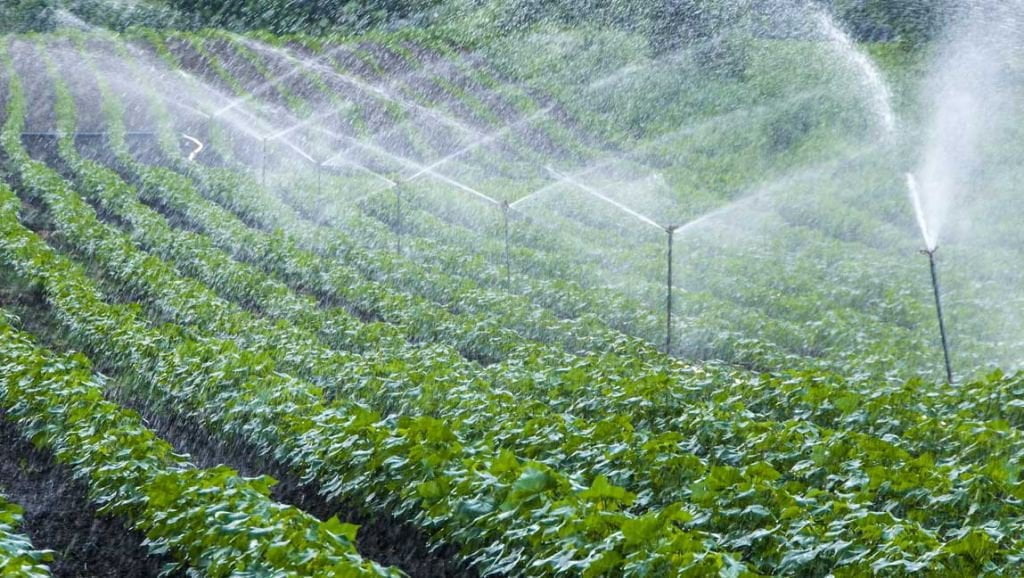 YANMAR launches new range of Portable Diesel Water Pumps - Yanmar ...