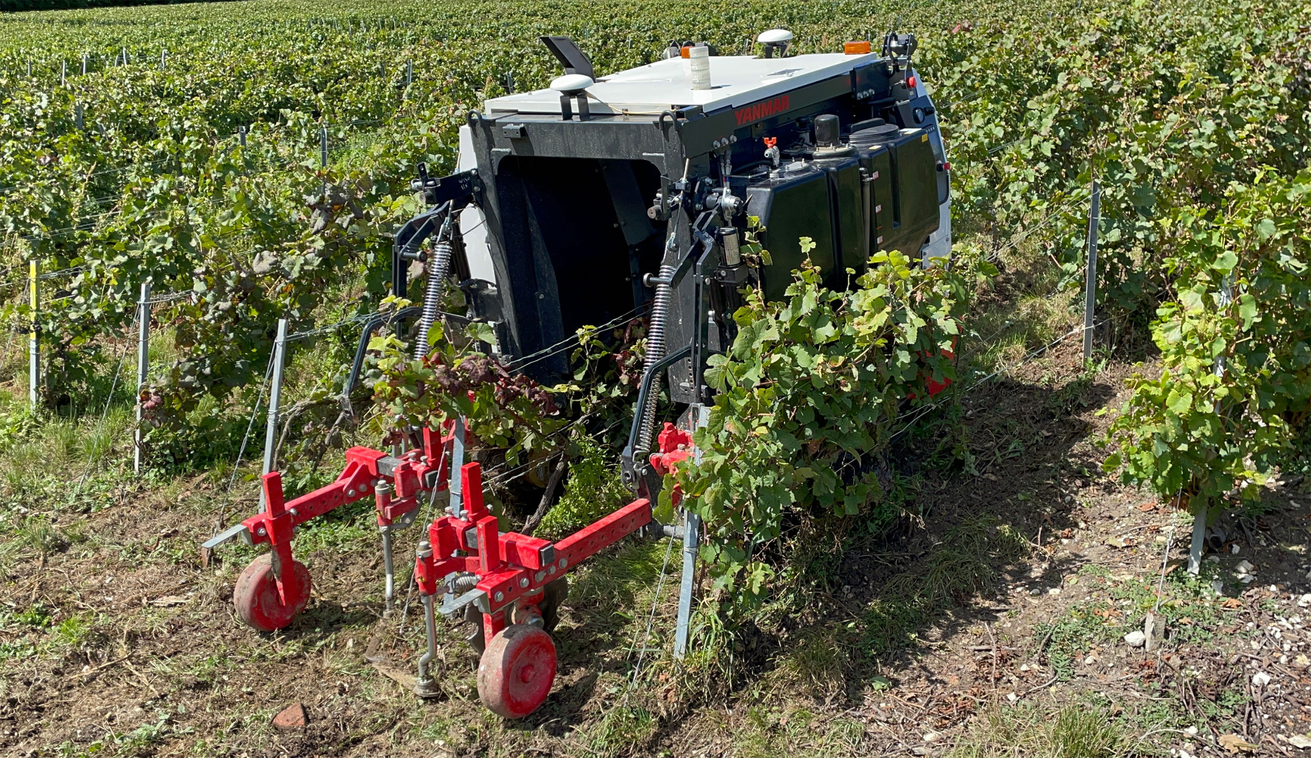 Versatility at the service of vineyards - Viticulture