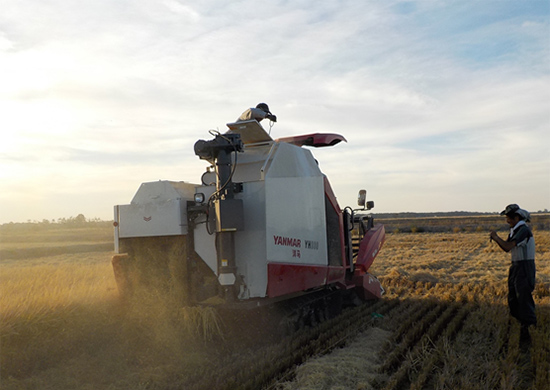 YANMAR AGRICULTURAL EQUIPMENT (CHINA) CO., LTD. Profile｜YANMAR ...