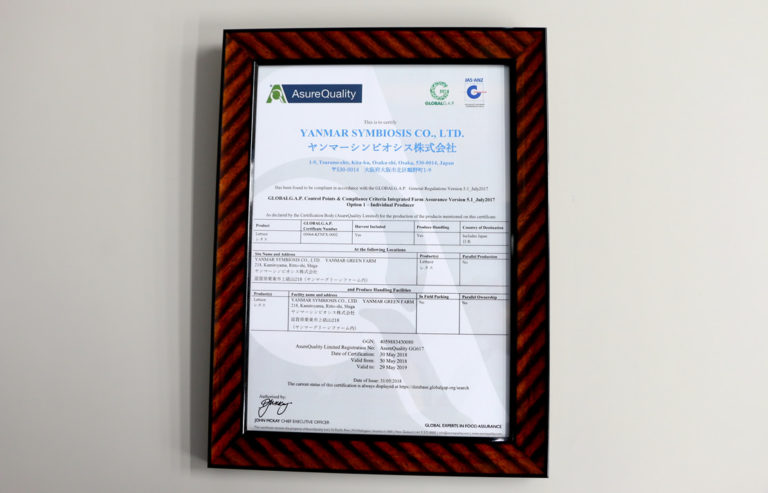 Yanmar Green Farm Acquires “GLOBALG.A.P.” Certification in Lettuce ...