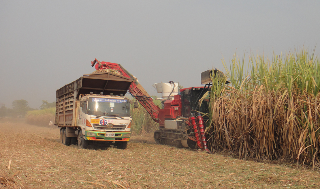 HS2000 Sugarcane Harvester｜Y media｜YANMAR