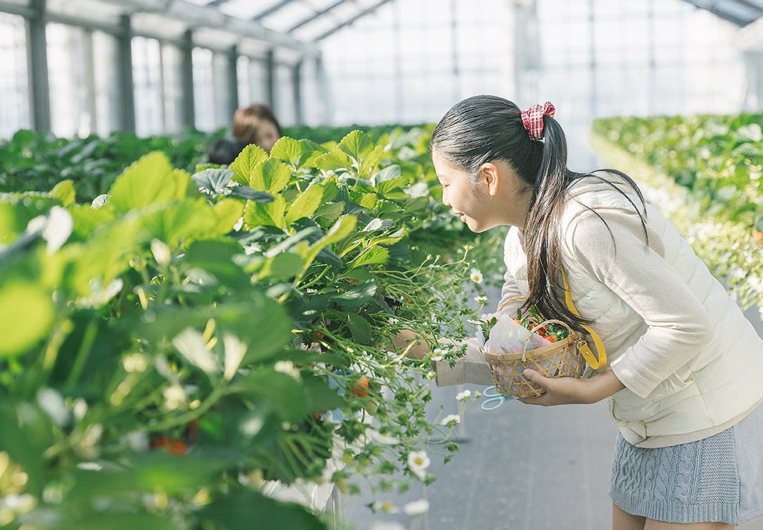 過ごし方｜SYMBIOSIS FARM by YANMAR（シンビオシスファーム バイ ヤンマー）