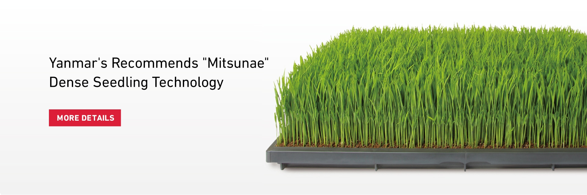Agriculture｜YANMAR