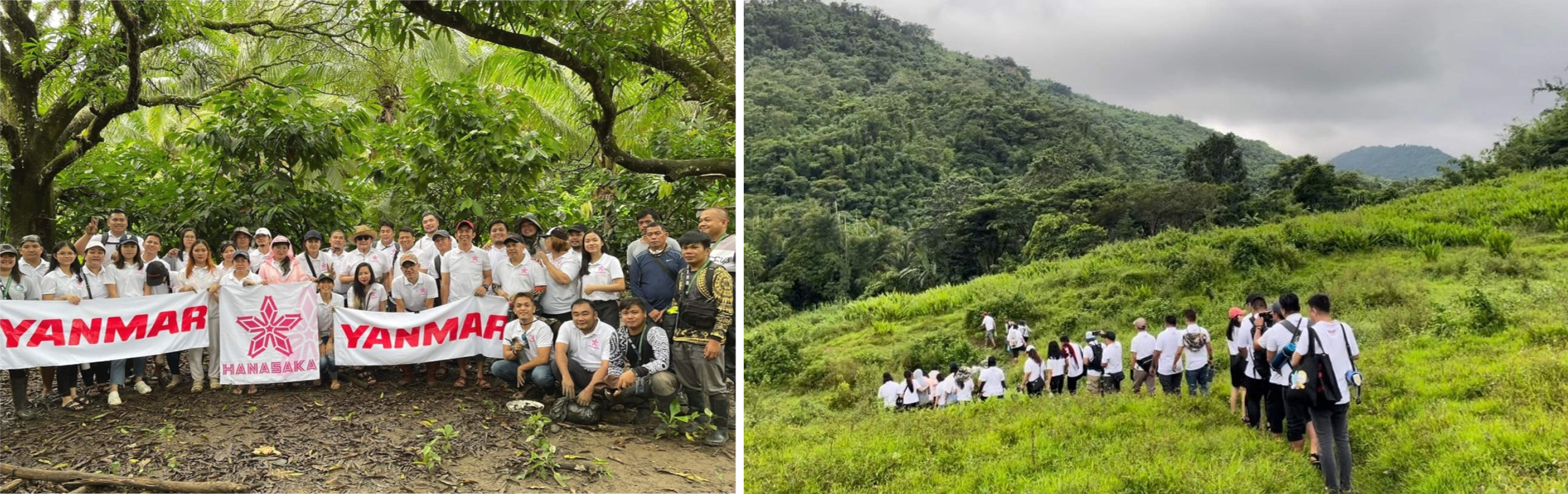 YANMAR PHILIPPINES engaged in Tree Planting｜2024｜News｜Environment/CSR ...